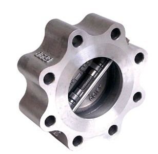 Check Valves | Asmuss